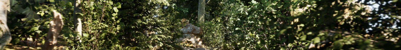 Spline Example | Community tutorial