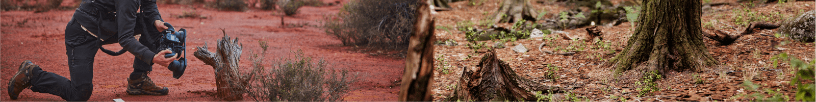 Scanning Basic Shapes | Tutorial