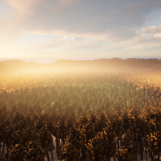 Local Fog Volumes | Tutorial