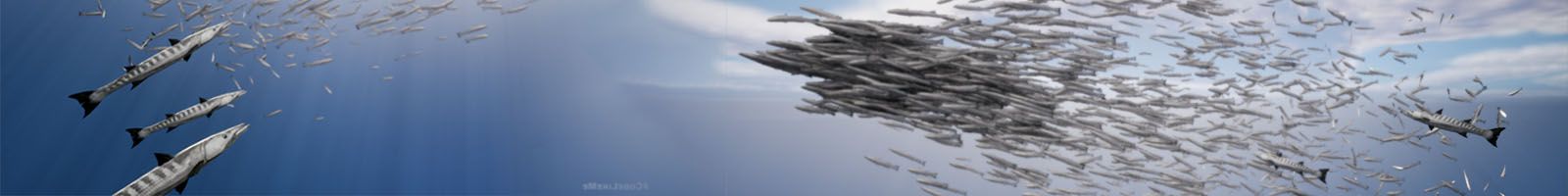 Niagara fish Schooling Mesh Particle | Community tutorial