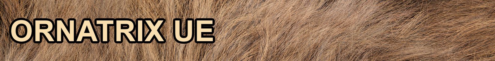 Ornatrix for Unreal Engine 5 | Mastering Realistic Fur Creation and ... Ornatrix for Unreal Engine 5 | Mastering Realistic Fur Creation and ...