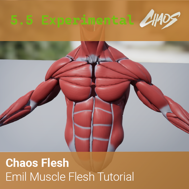 Chaos Flesh Muscle Simulation Tutorial (5.5) | Tutorial Chaos Flesh Muscle Simulation Tutorial (5.5) | Tutorial