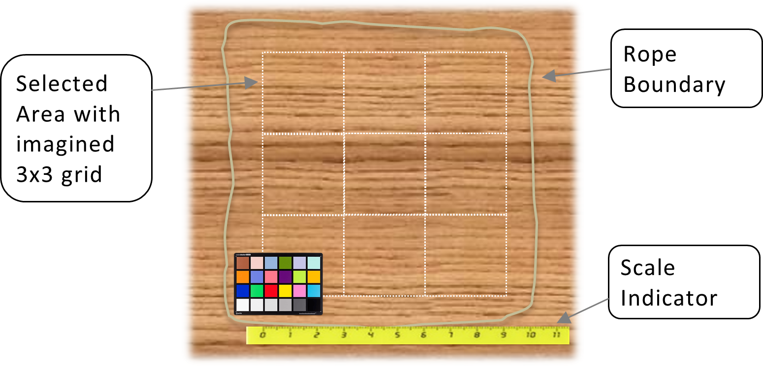 Scanning Basic Shapes | Tutorial